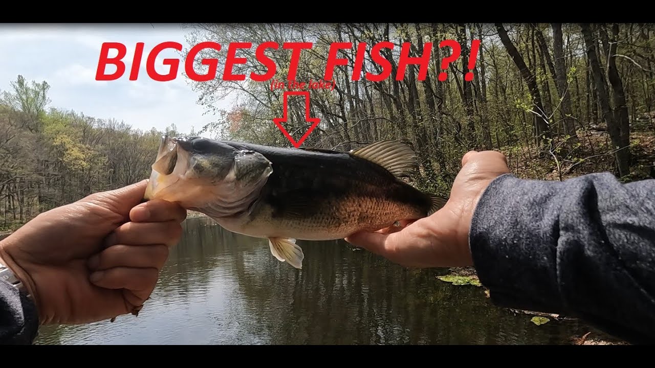 Caught the biggest alpha fish in this very productive hidden lake - YouTube