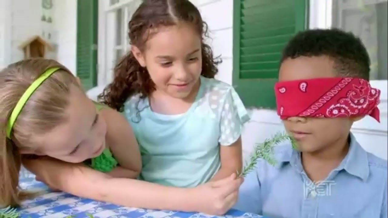 PBS Kids Program Break (2022 KET) - YouTube