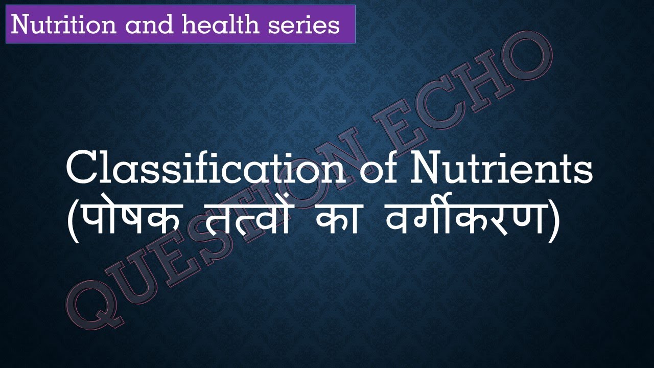 Classification Of Nutrients Youtube