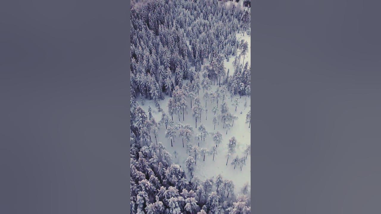 Winter is far from over #shorts - YouTube