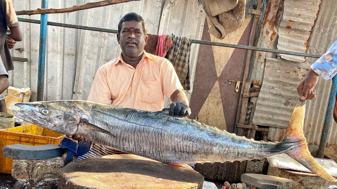 20kg VANJIRAM FISH 🔪😱KASIMEDU FISH CUTTING 🔪💪🏻@kffishcuts8652 - YouTube