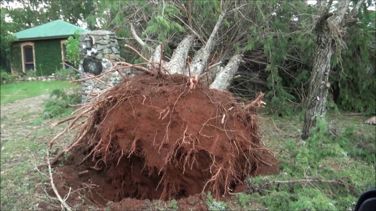 2013 QLD Cyclone Disaster Zone (Tamborine Mt Footage) - YouTube