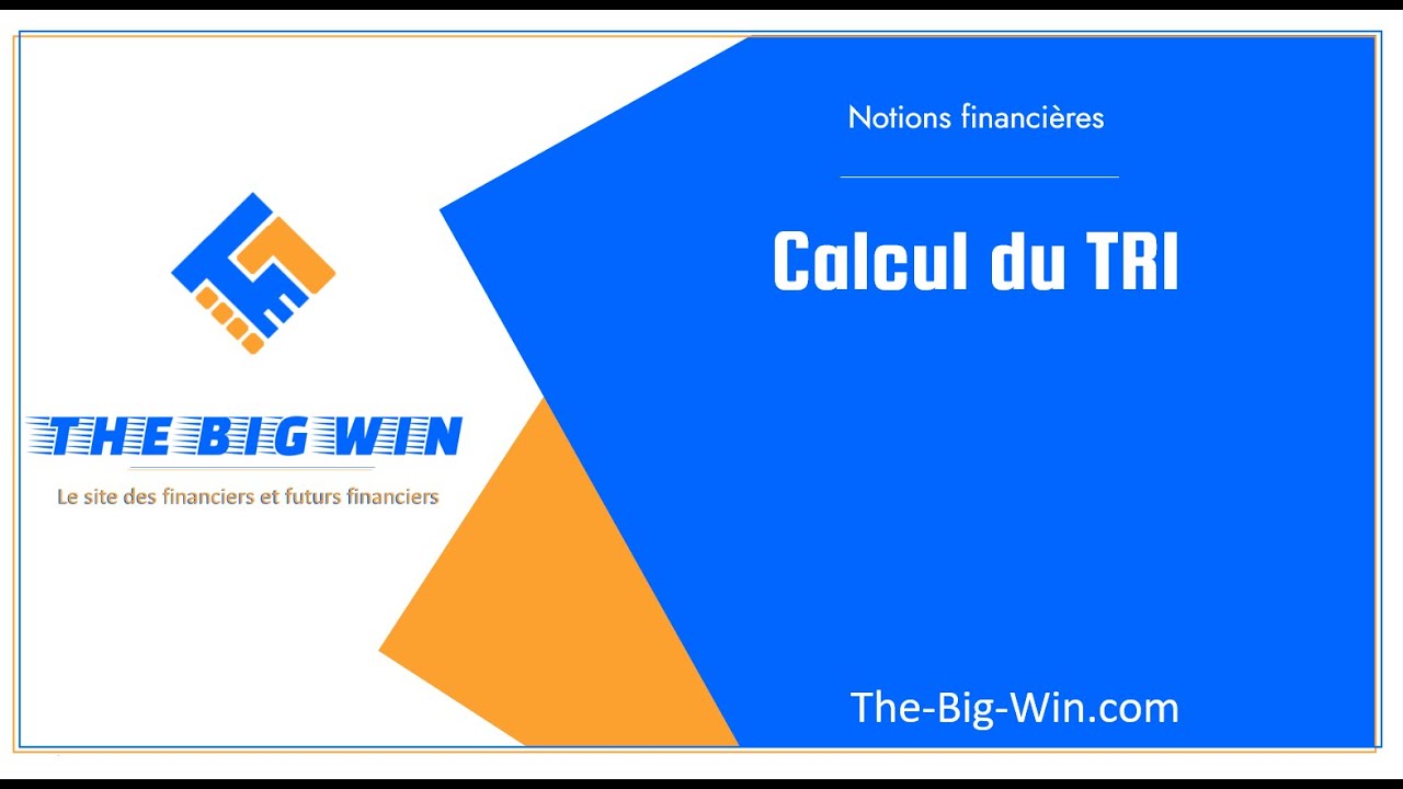 Calcul TRI : définition, exemples concrets et explication pour tout ...