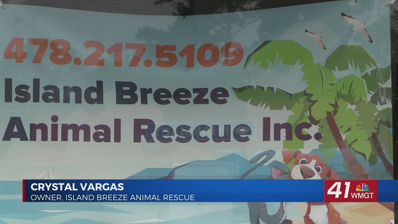 Island Breeze Animal Rescue