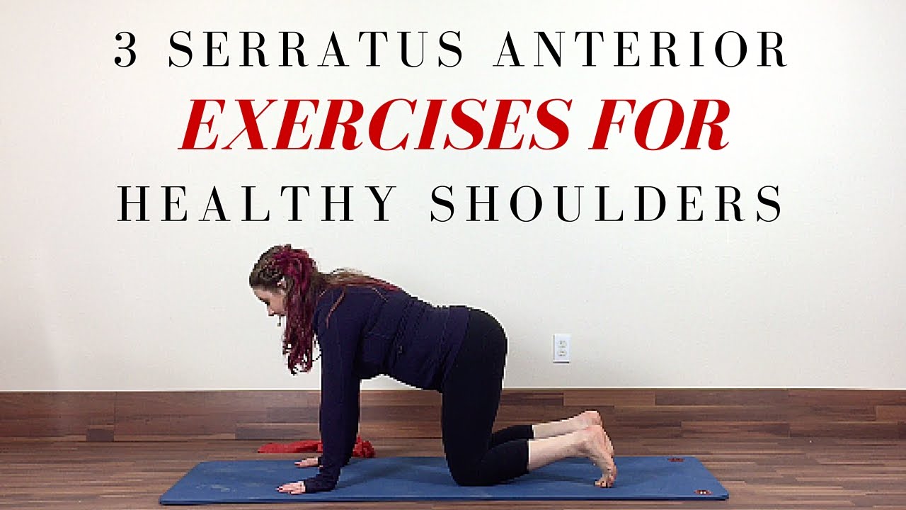 What Is The Serratus Anterior Definition Function Serratus Anterior ...