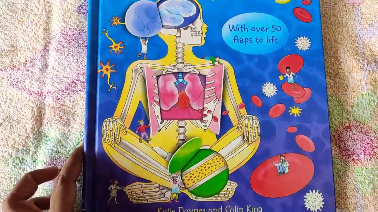 Usborne's See inside - Your body Lift the flap Board book| Silent flip ...