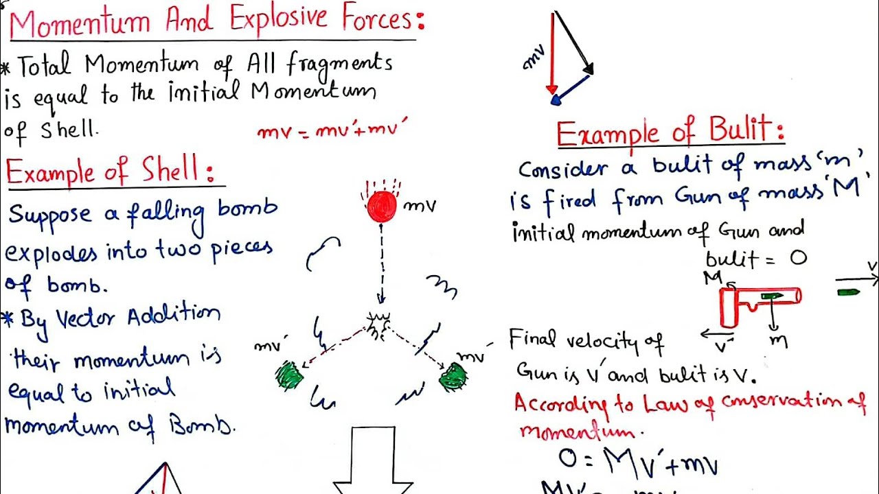 Momentum and Explosive Forces | Motion and Force | Class 11 Physics ...