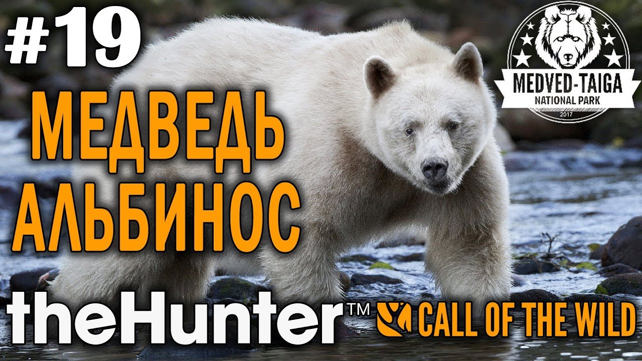 theHunter call of the wild #19 🔫 - Легендарный Медведь Альбинос - Финал ...