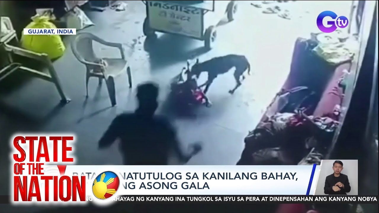 World News - Batang natutulog sa kanilang bahay, inatake ng asong gala ...
