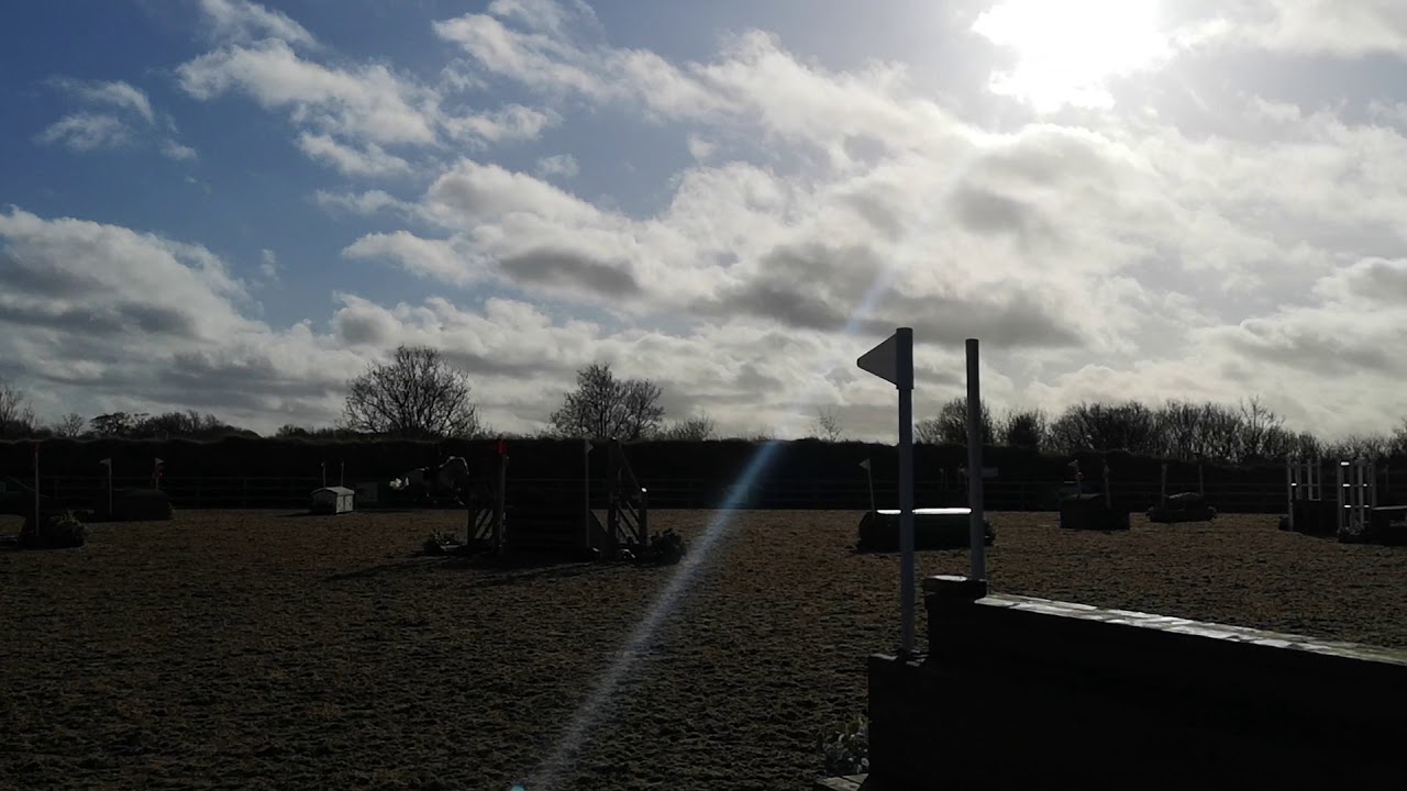 Hugo Arena Eventing The Meadows Feb 2020 - YouTube