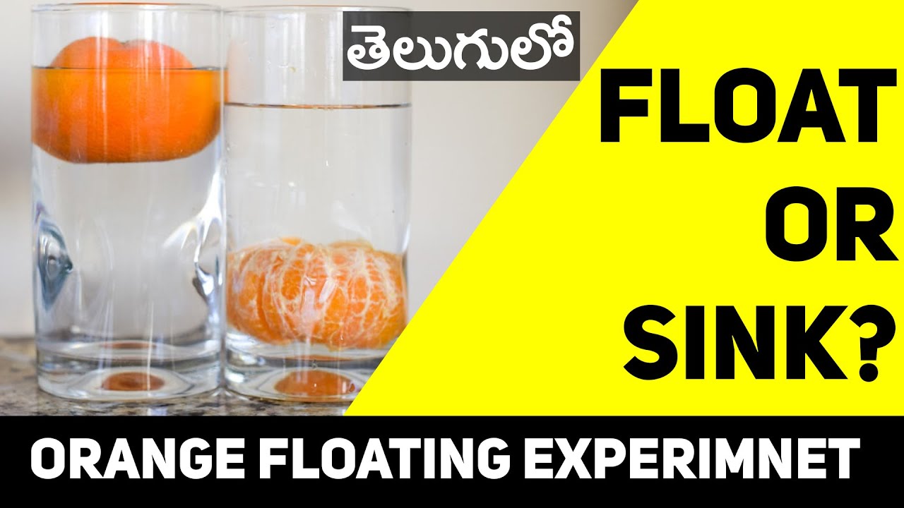 Easy school science experiments | Orange Floating Experiment | Simple ...