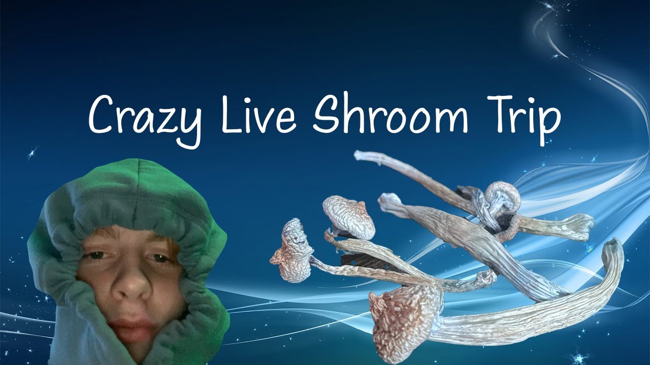Crazy Live Shroom Trip - YouTube