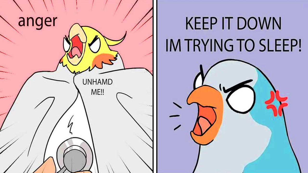 Chicken Thoughts Comics But Not Cute Endings | Hapi Buni #3 - YouTube