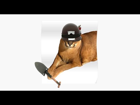 big floppa plays tf2 trolldier!?!?!?!?!? (what) - YouTube