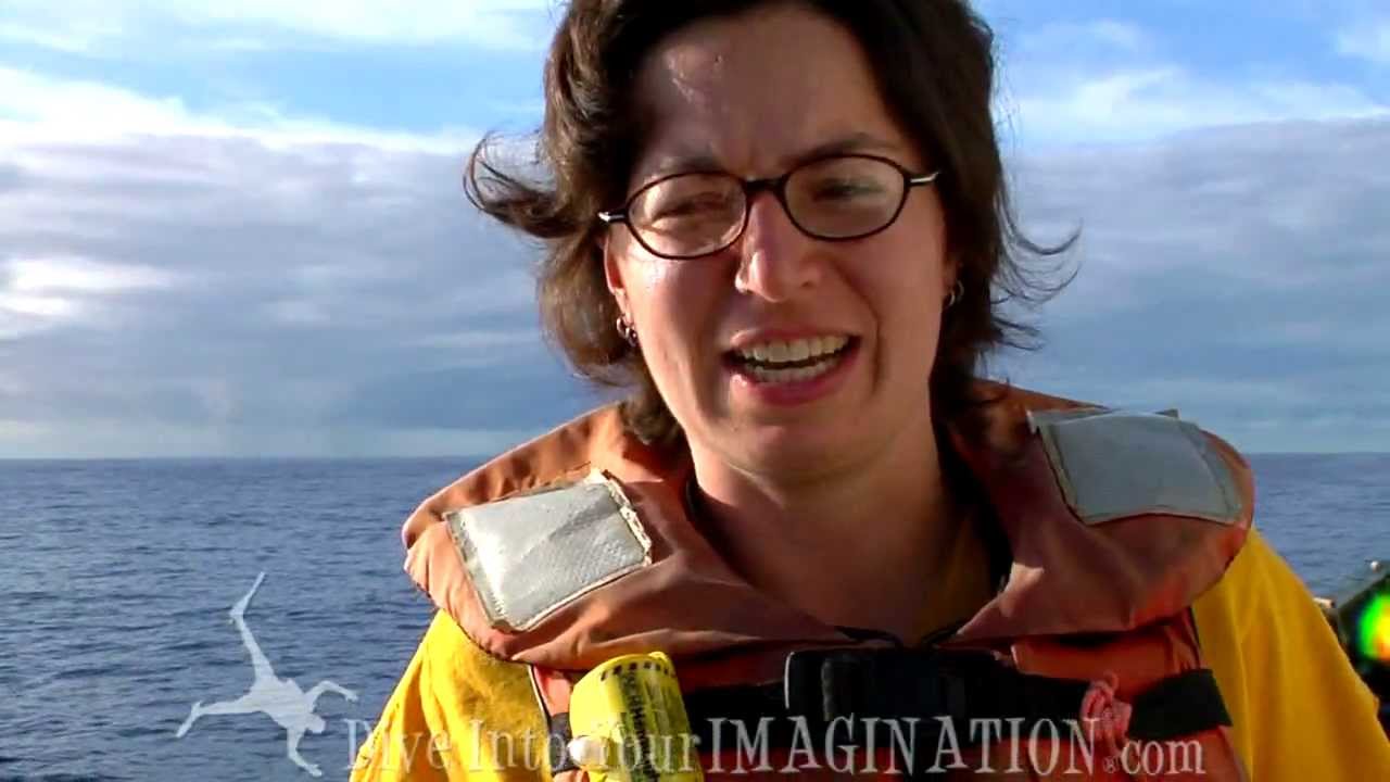 Project Kaisei - Miriam Goldstein Tracks Plastic in Skiff - The Garbage ...