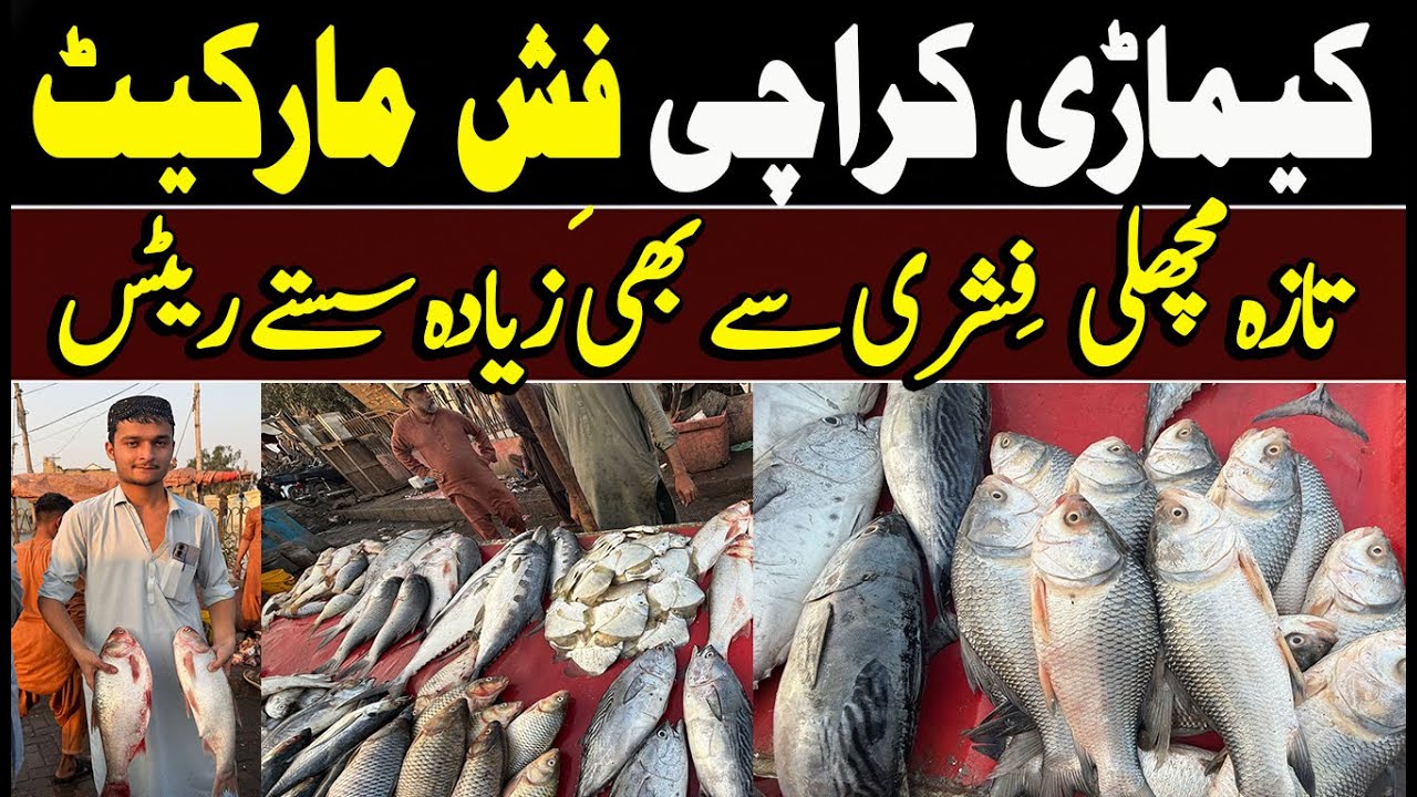 Karachi Fish Market Cheapest Rates | Kemari Fresh Fish Prices Today ...