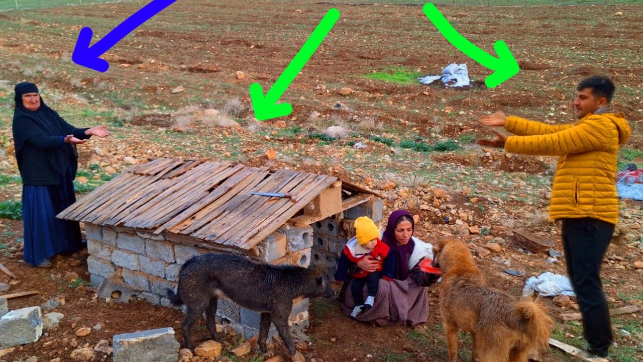 Kind Hands: Nomadic Woman Builds a House for Dogs! - YouTube