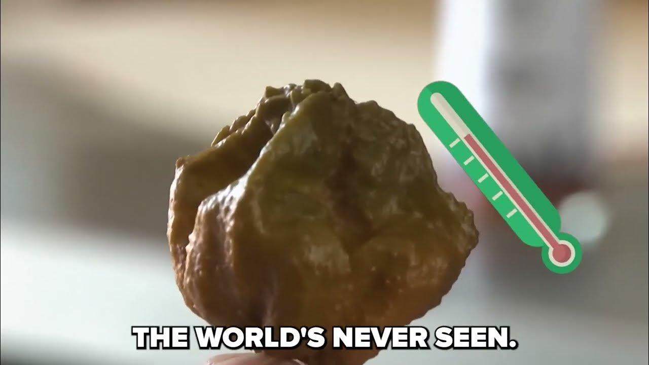 Pepper X Is Crowned As The Worlds Spiciest Chili Pepper By Guinness