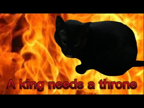 Making a throne for my cat!