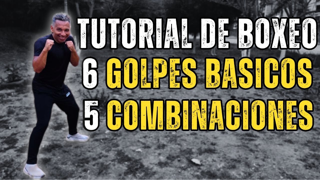 𝙏𝙐𝙏𝙊𝙍𝙄𝘼𝙇 𝙙𝙚 𝘽𝙊𝙓𝙀𝙊 6 𝙂𝙊𝙇𝙋𝙀𝙎 𝘽𝘼𝙎𝙄𝘾𝙊𝙎 5 𝘾𝙊𝙈𝘽𝙄𝙉𝘼𝘾𝙄𝙊𝙉𝙀𝙎 - YouTube