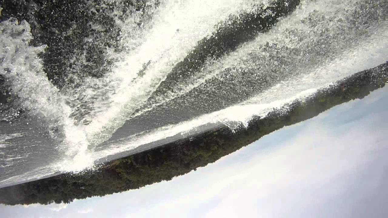 swimming with the fish13 - YouTube