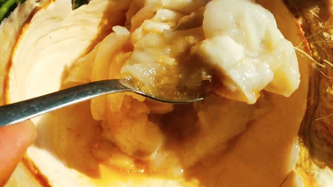 Fresh Buko with sugar | TipsMeYou - YouTube