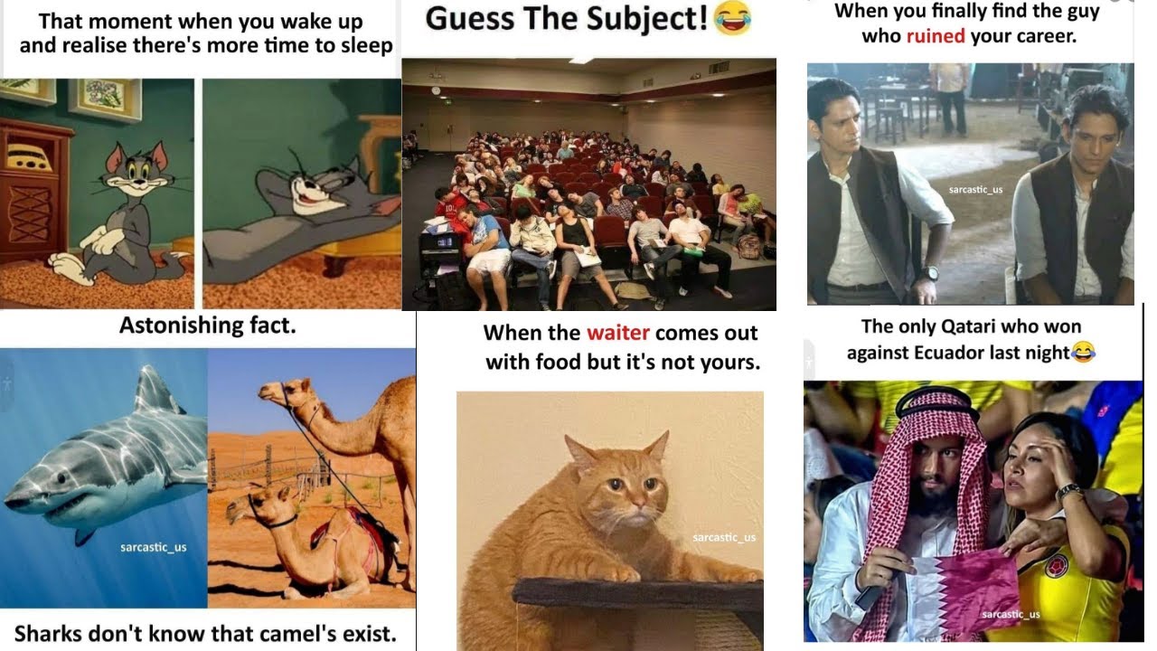 Funny memes|Hilarious memes|G OYE MEMES|legendary memes|Memes that only ...