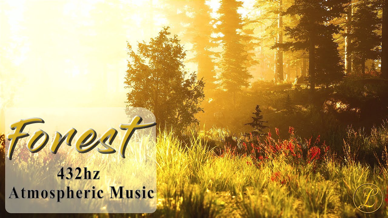 432hz Atmospheric Music - Forest - YouTube