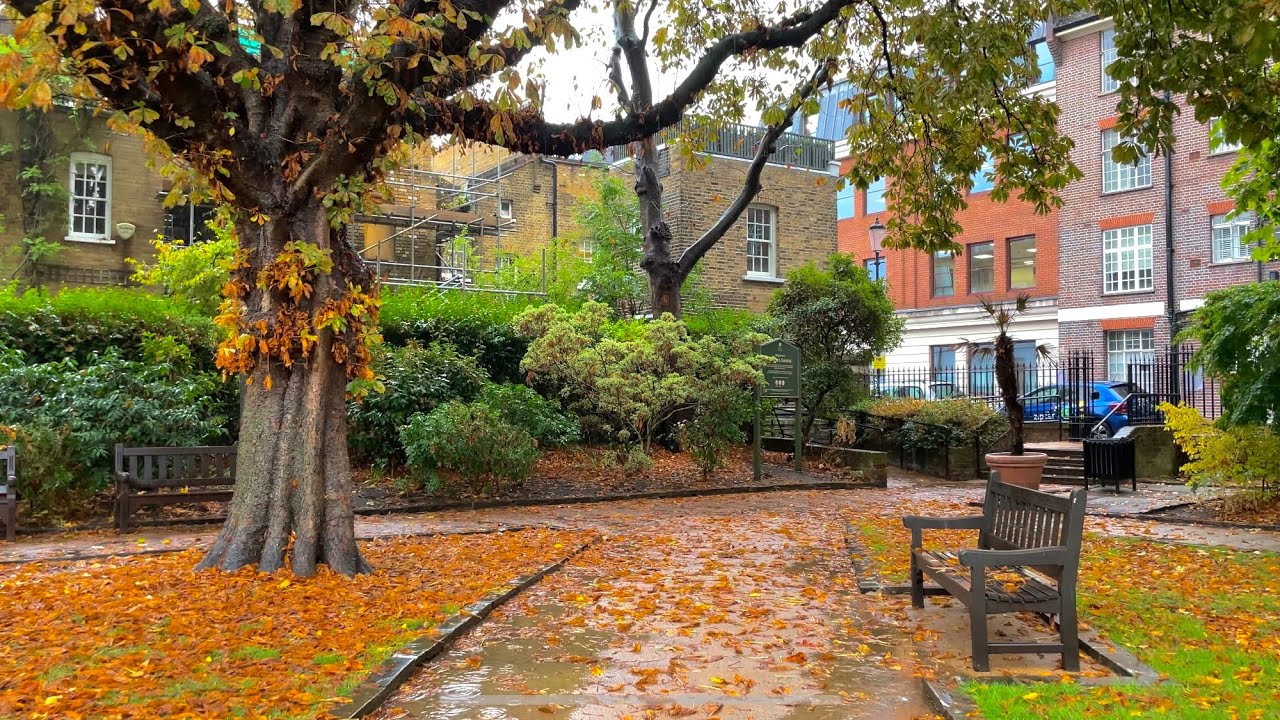 Relaxing Rain Walk through Chelsea - London’s Poshest Neighbourhood ...