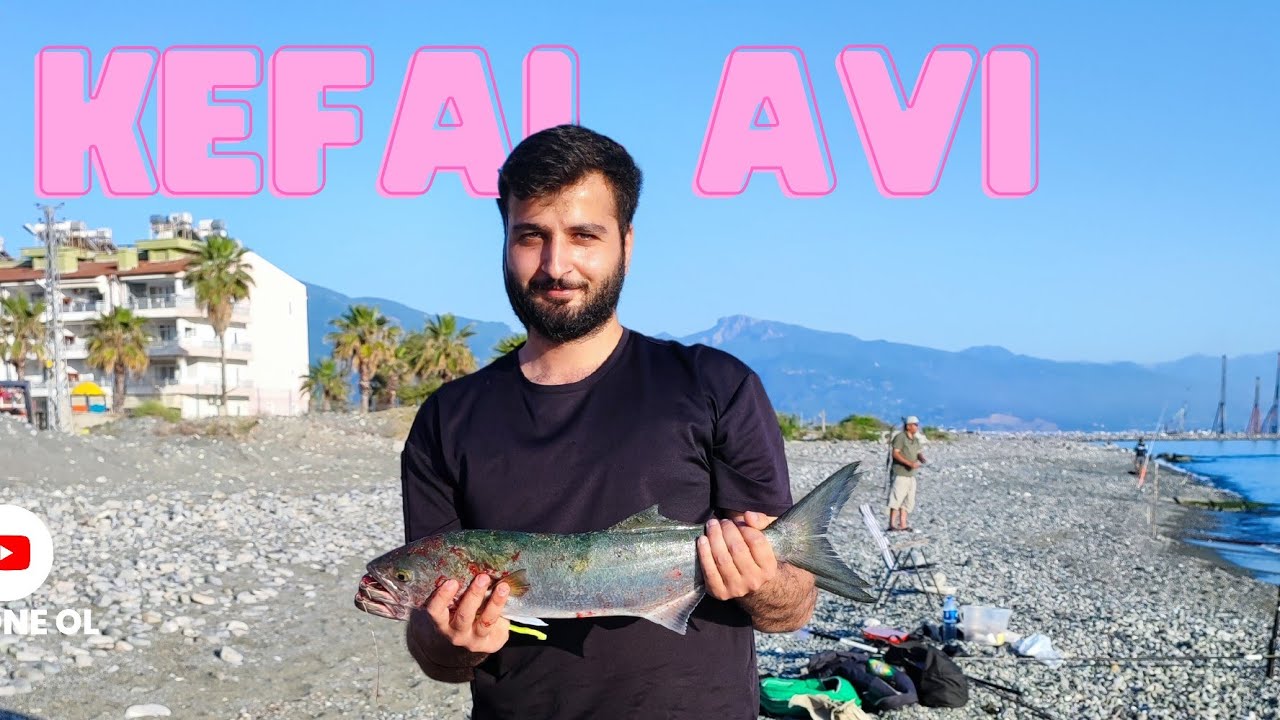 KIYIDAN EKMEK VE KIBRIS SARMASI İLE KEFAL AVI #balıkavı #balık # ...