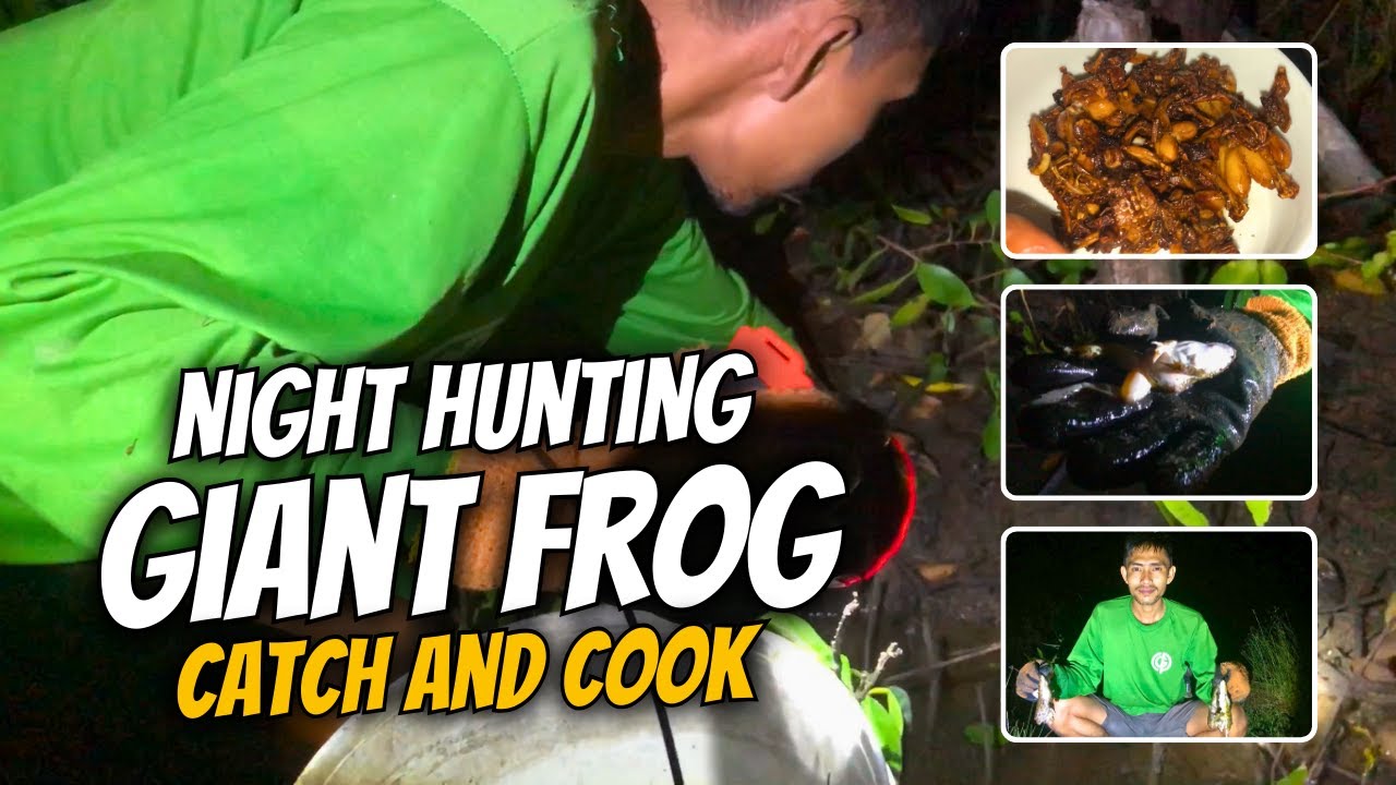 NIGHT HUNTING FROG (PALAKA) | CATCH AND COOK | ADOBONG PALAKA | Dodong ...