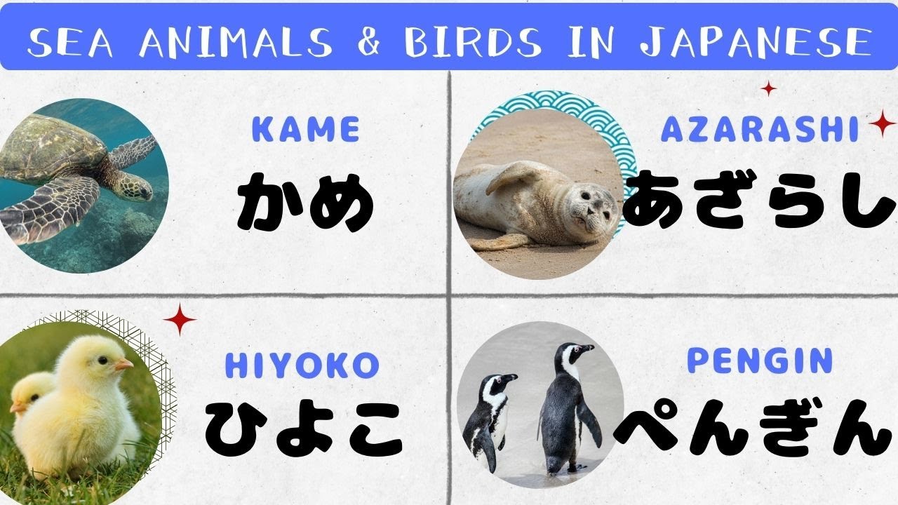 Sea Animals and Birds in Japanese - Japanese Vocabulary for Beginners ...