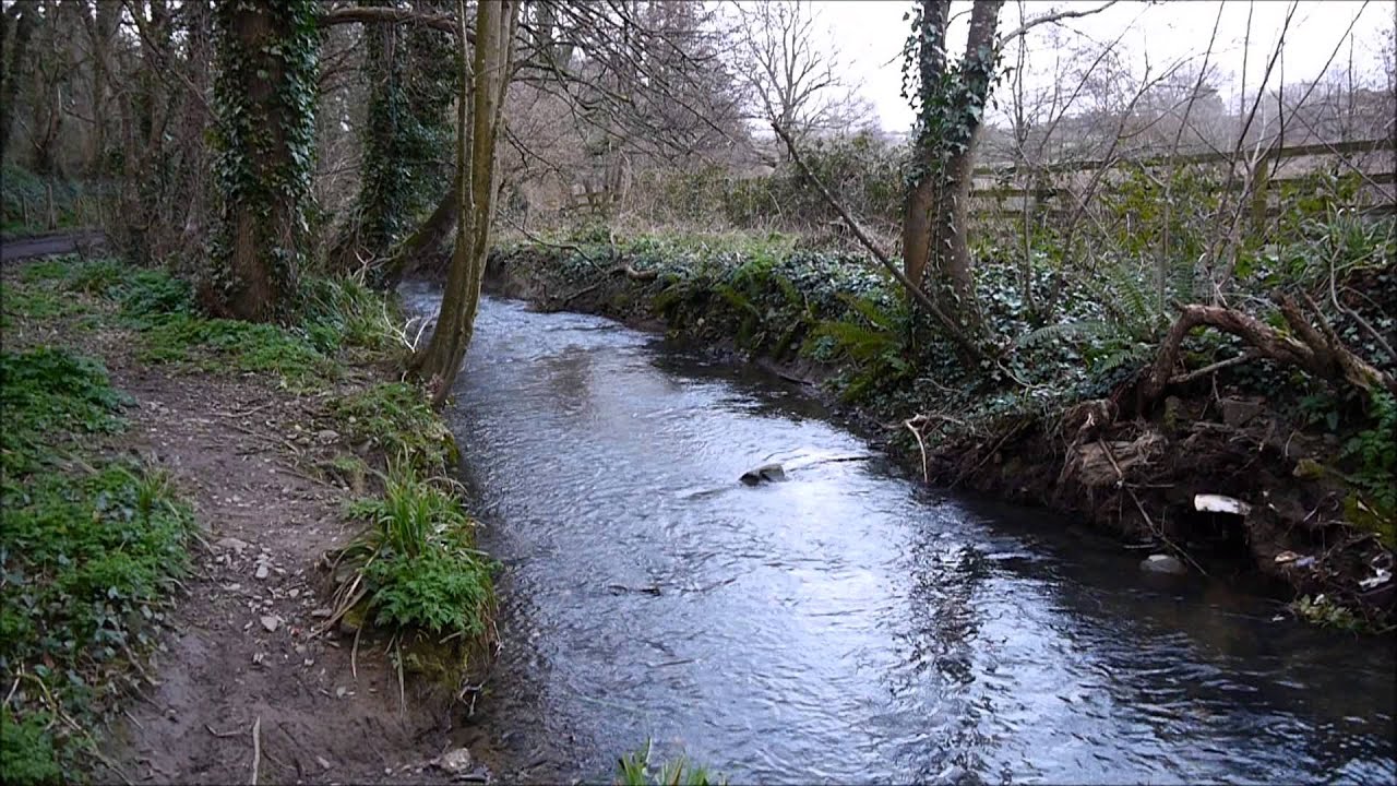 Gorgeous River and Fremington Manor - YouTube