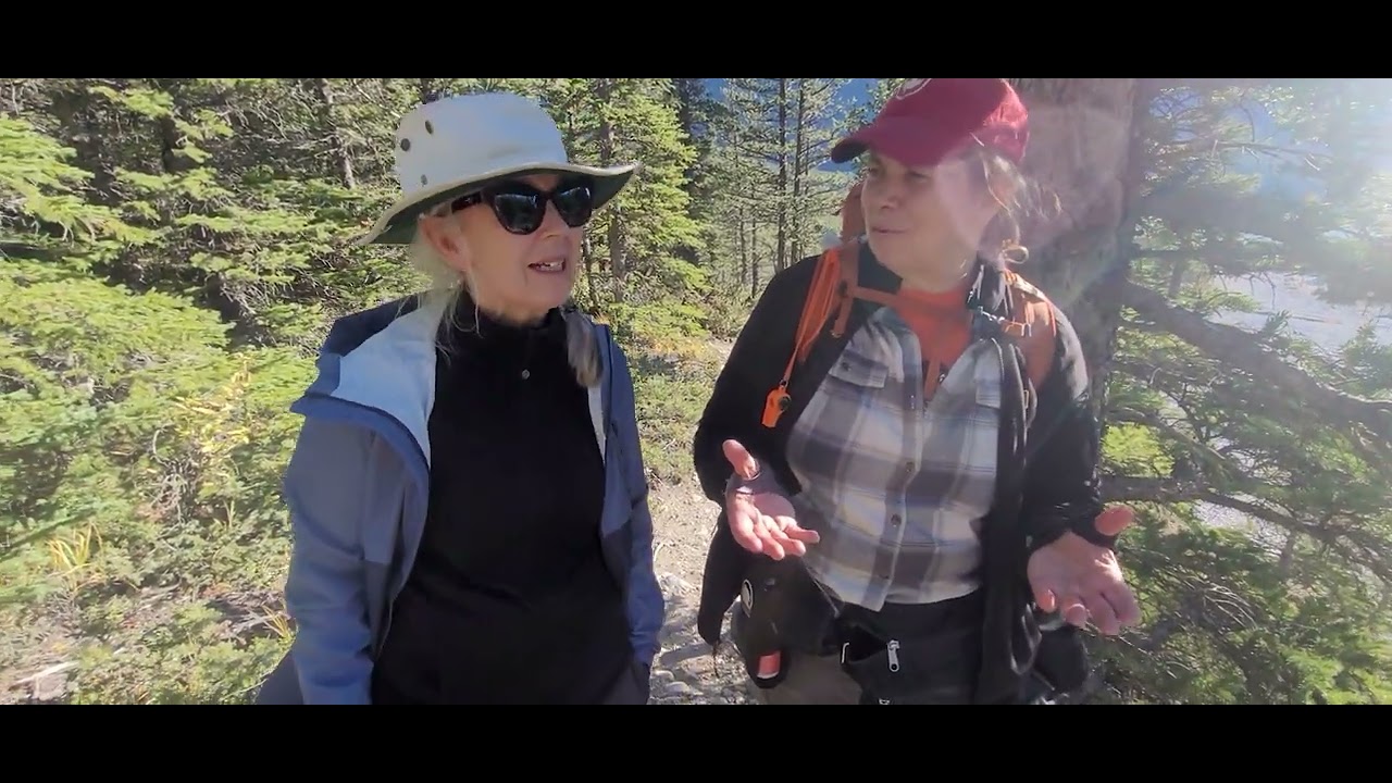 PI DDD oral exam talk (full version) - YouTube