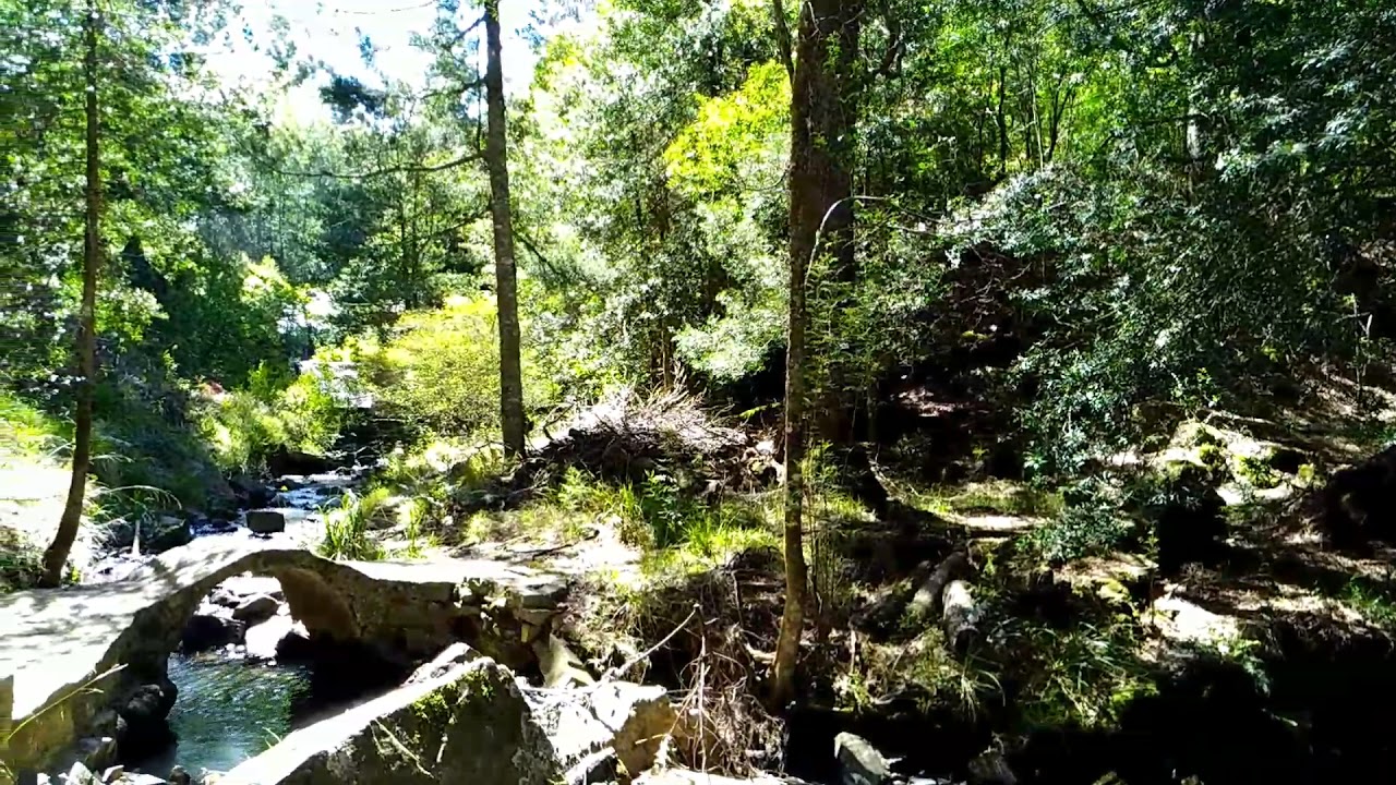 SNIPPETS: The Swallow's Tail Waterfalls at Hogsback - YouTube