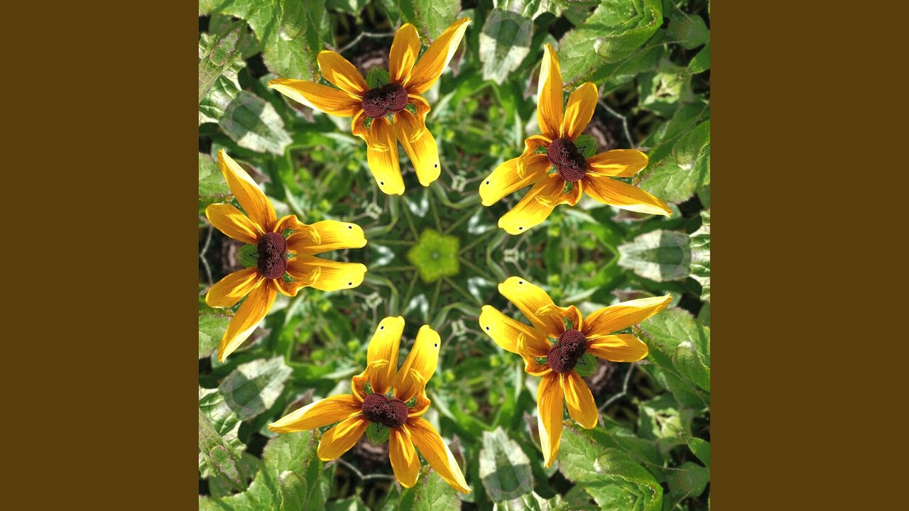 A dance of ethereal joy with each note - YouTube