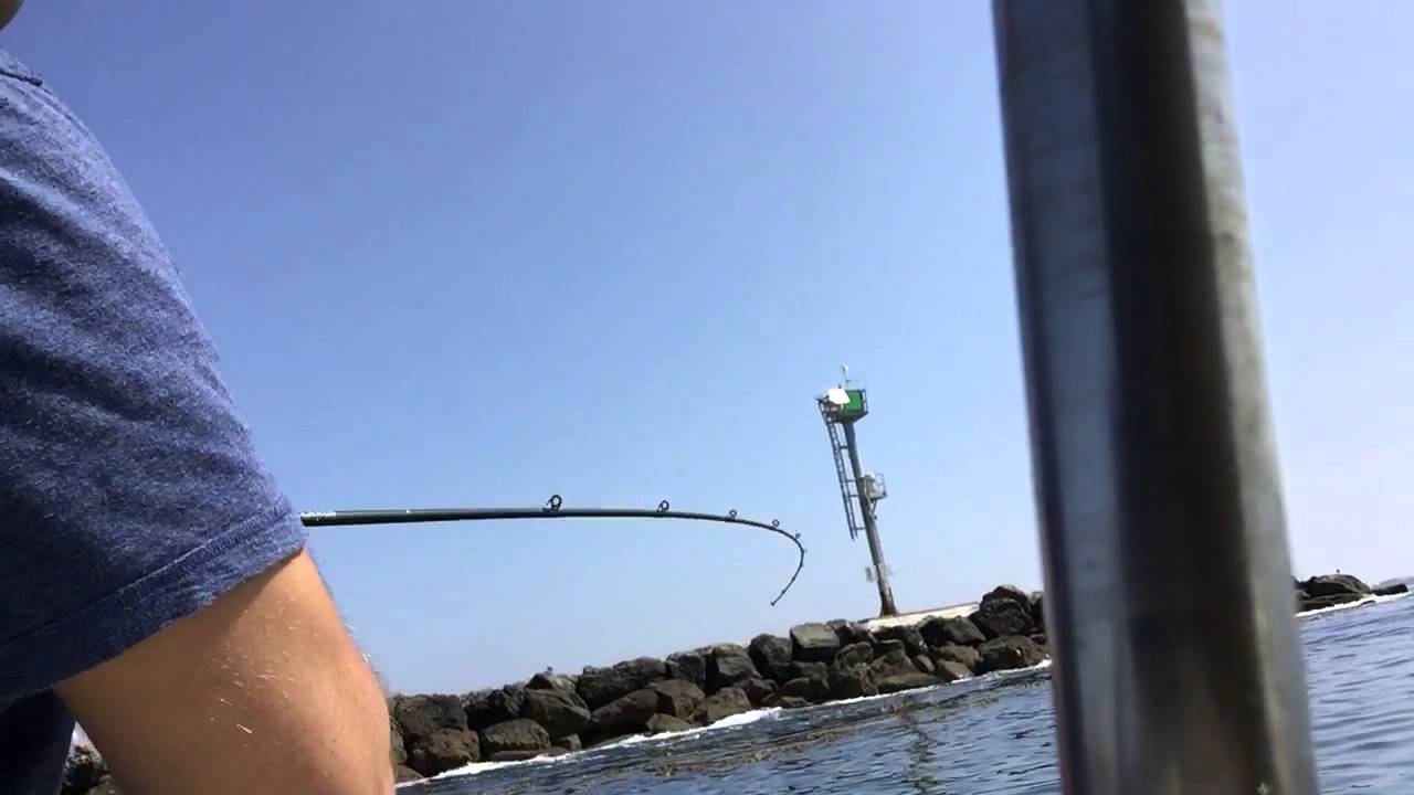 Long Beach Breakwall fishing - YouTube