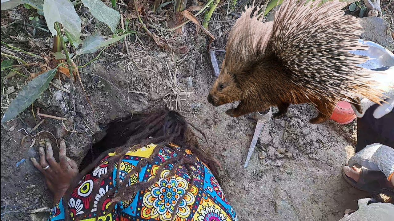 Dumsi Samaudai Kathmandu Ma | Hunting Porcupine in Kathmandu - YouTube