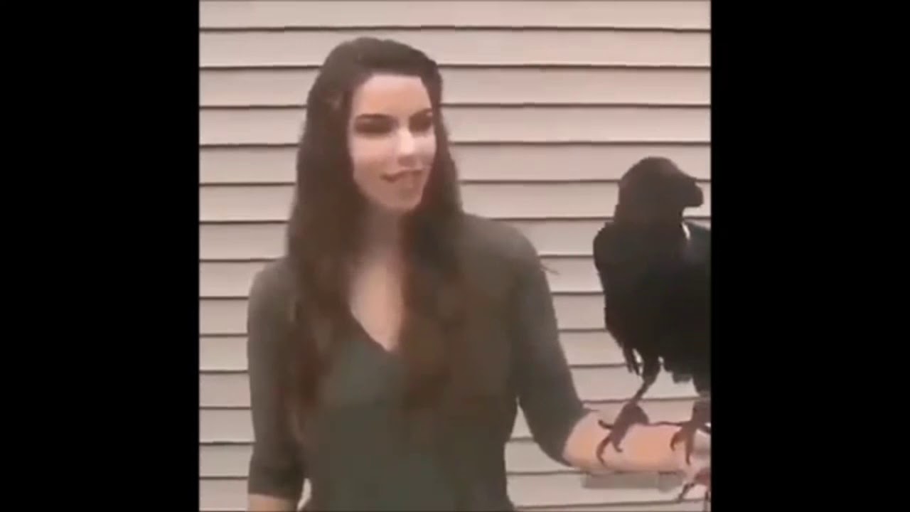 Discord raven - YouTube