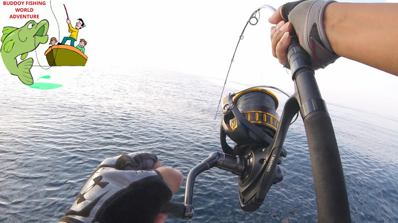 LongTail Tuna I Buddoy's Fishing World Adventure V61 - YouTube