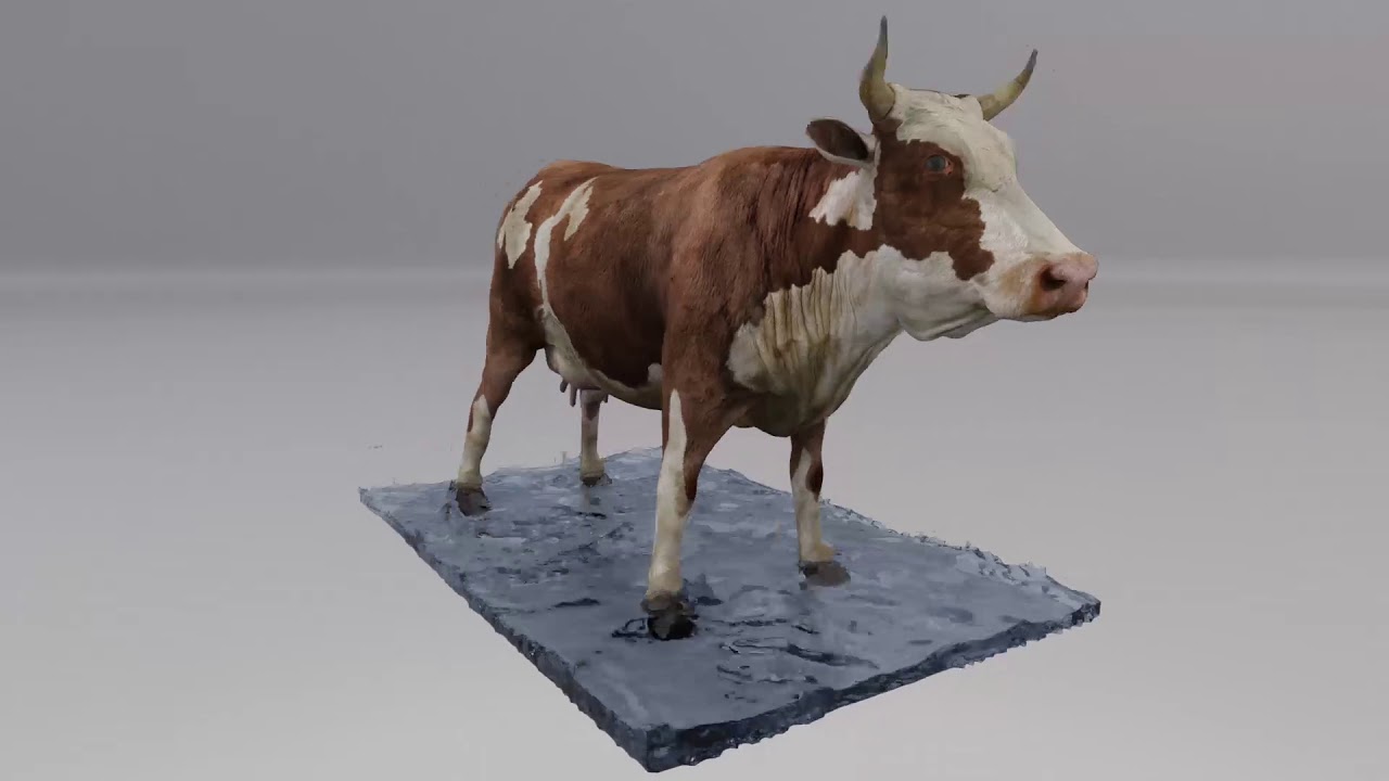 Polish Cow, but its High Resolution 60FPS fullHD - YouTube