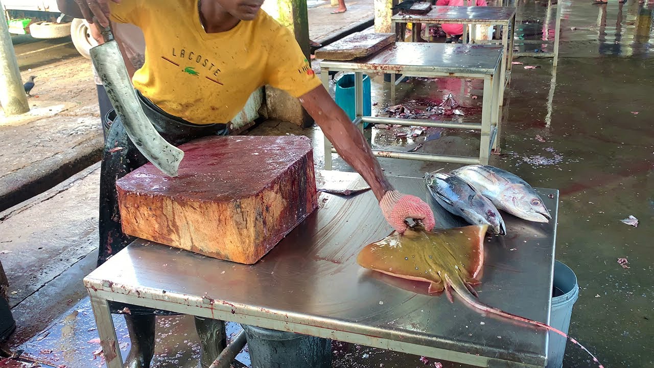 Ray Fish Cutting Skill l Amazing Fish Cutting Experts | 4K Video - YouTube