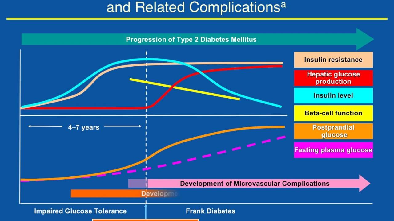development and progression of type2 diabetes - YouTube