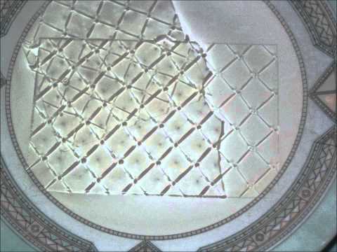 gelatina in fogli (colla di pesce) - YouTube