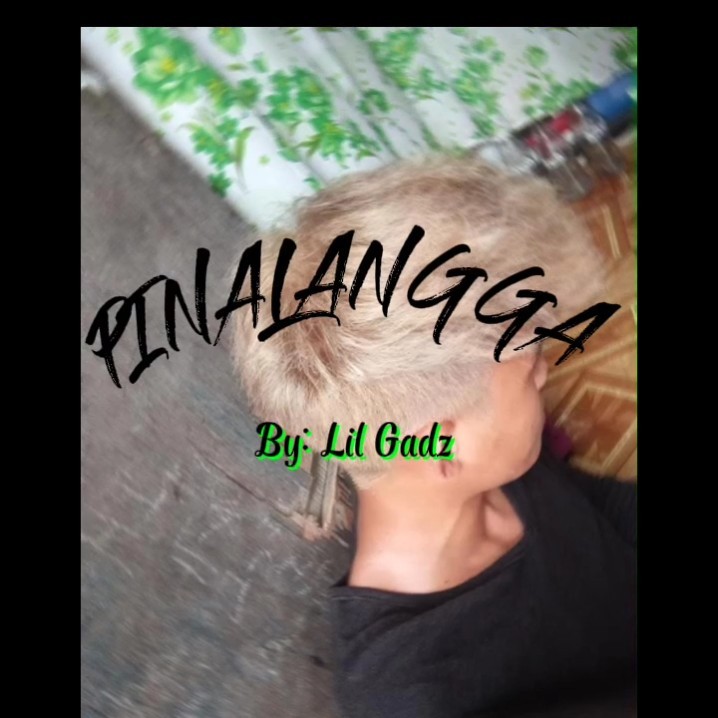 PINALANGGA - LIL GADZ (Visualizer) - YouTube