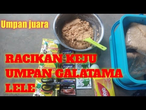 Racikan keju basi umpan galatama lele " di jamin gacor " - YouTube