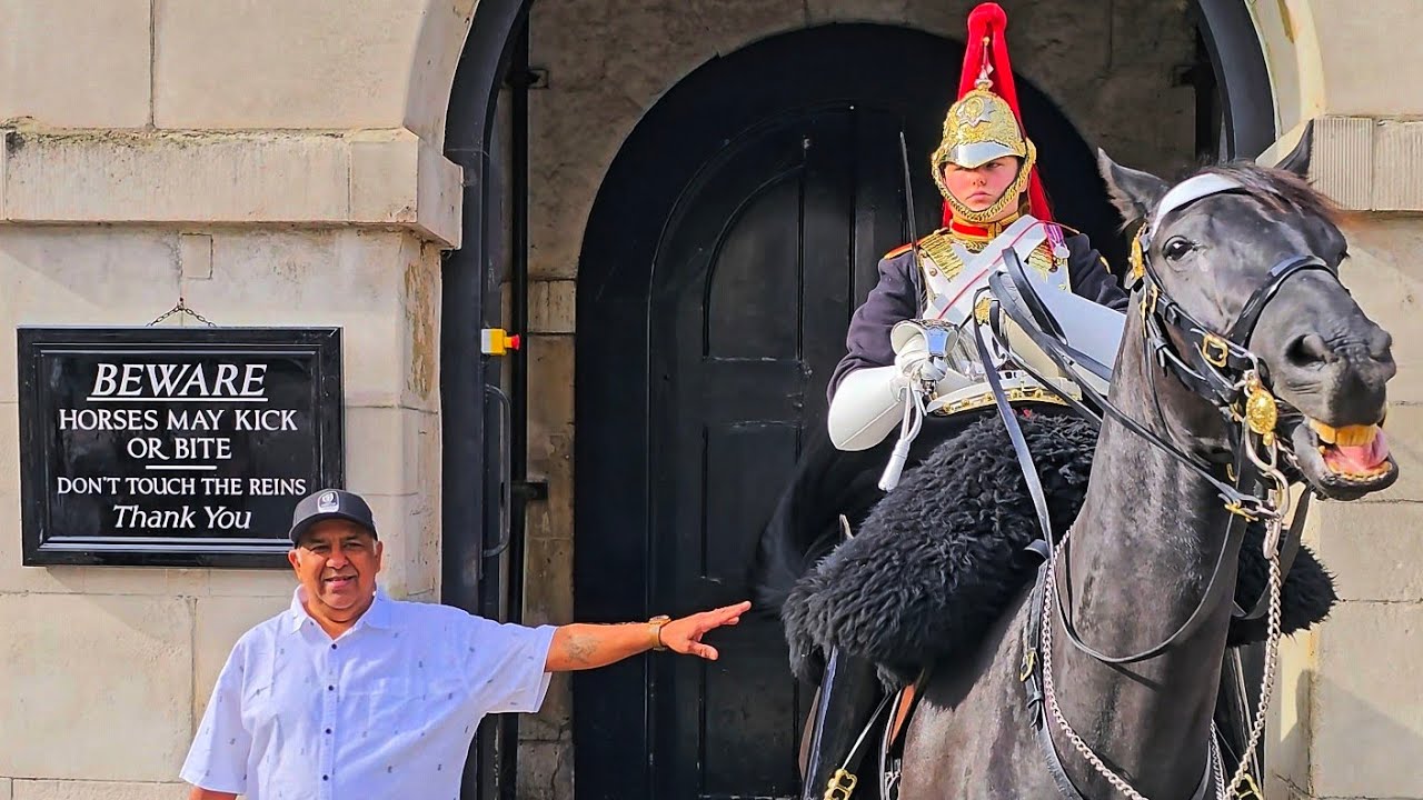 KAREN slayer King's Guard spys IDIOT who touches the Horse blanket ...