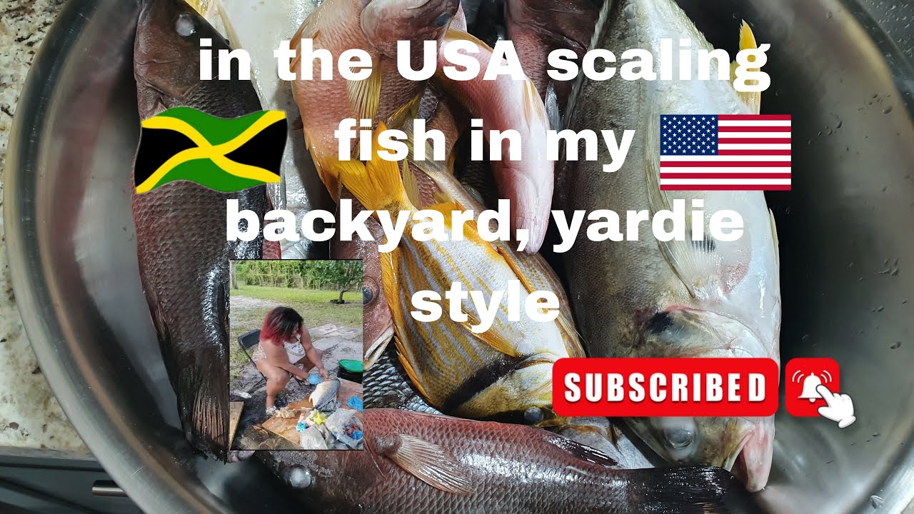 Angie's cooking and spree is live! Scaling fish in my back yard, in the ...