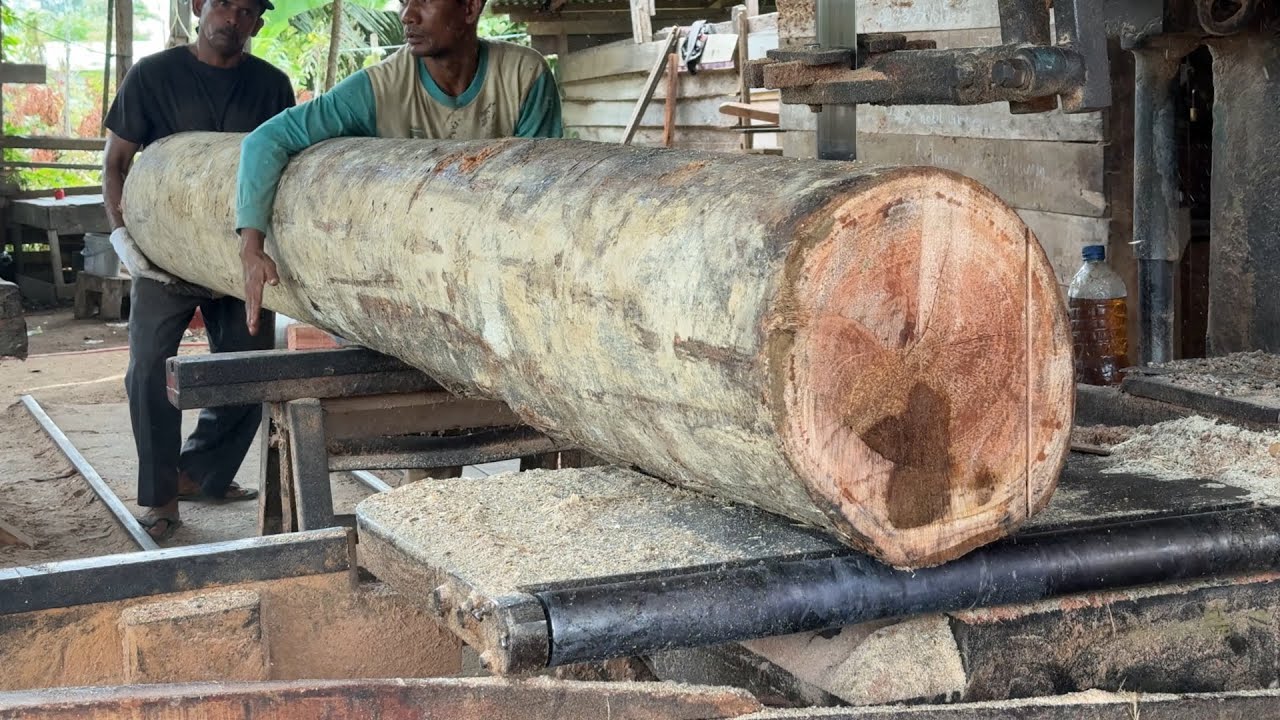 The Art of Sawing Wood Mastering Expert Techniques to Improve Skills ...