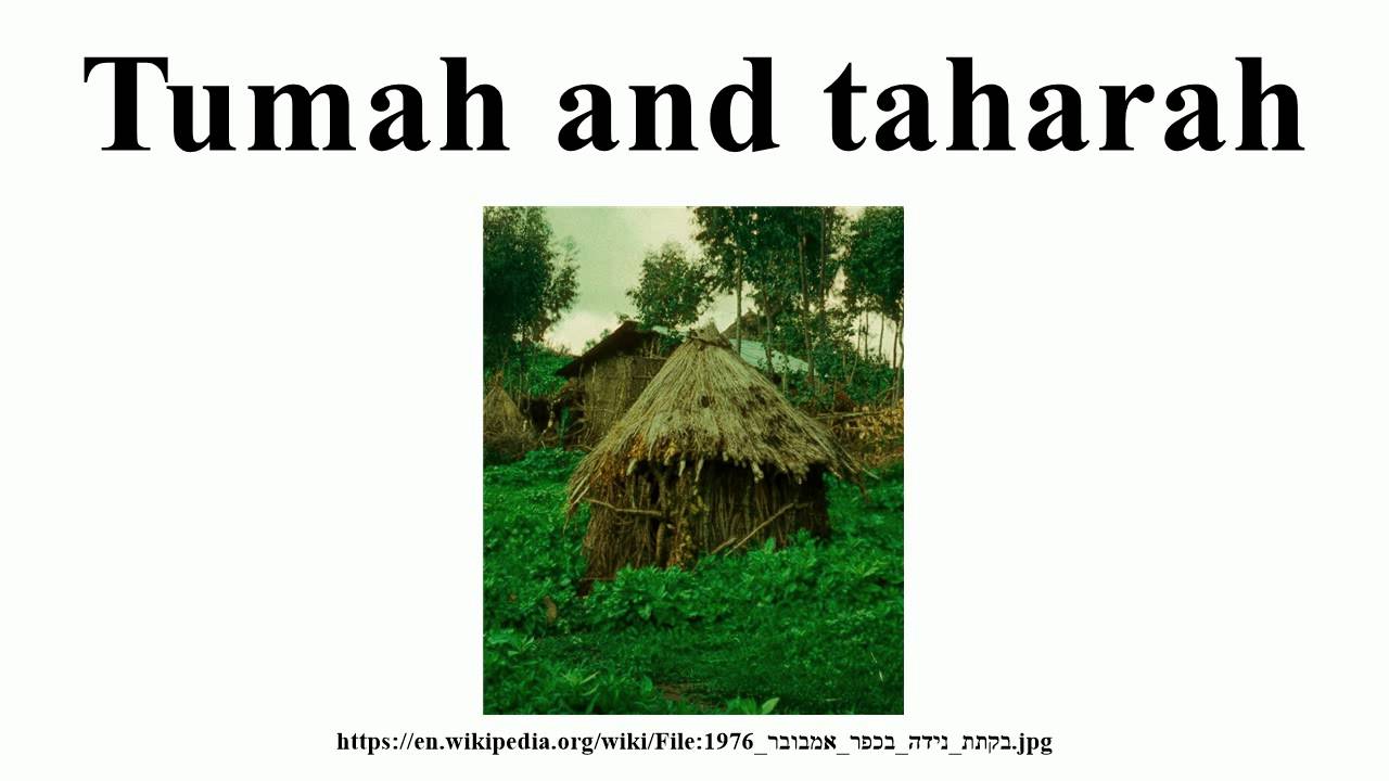 Tumah and taharah - YouTube